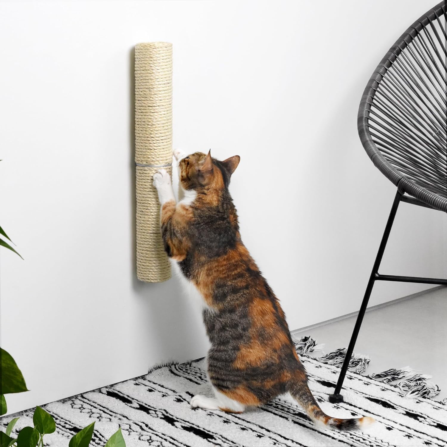 18" Compact Wall Mounted Cat Scratcher, Sisal Scratching Post - Walmart.com