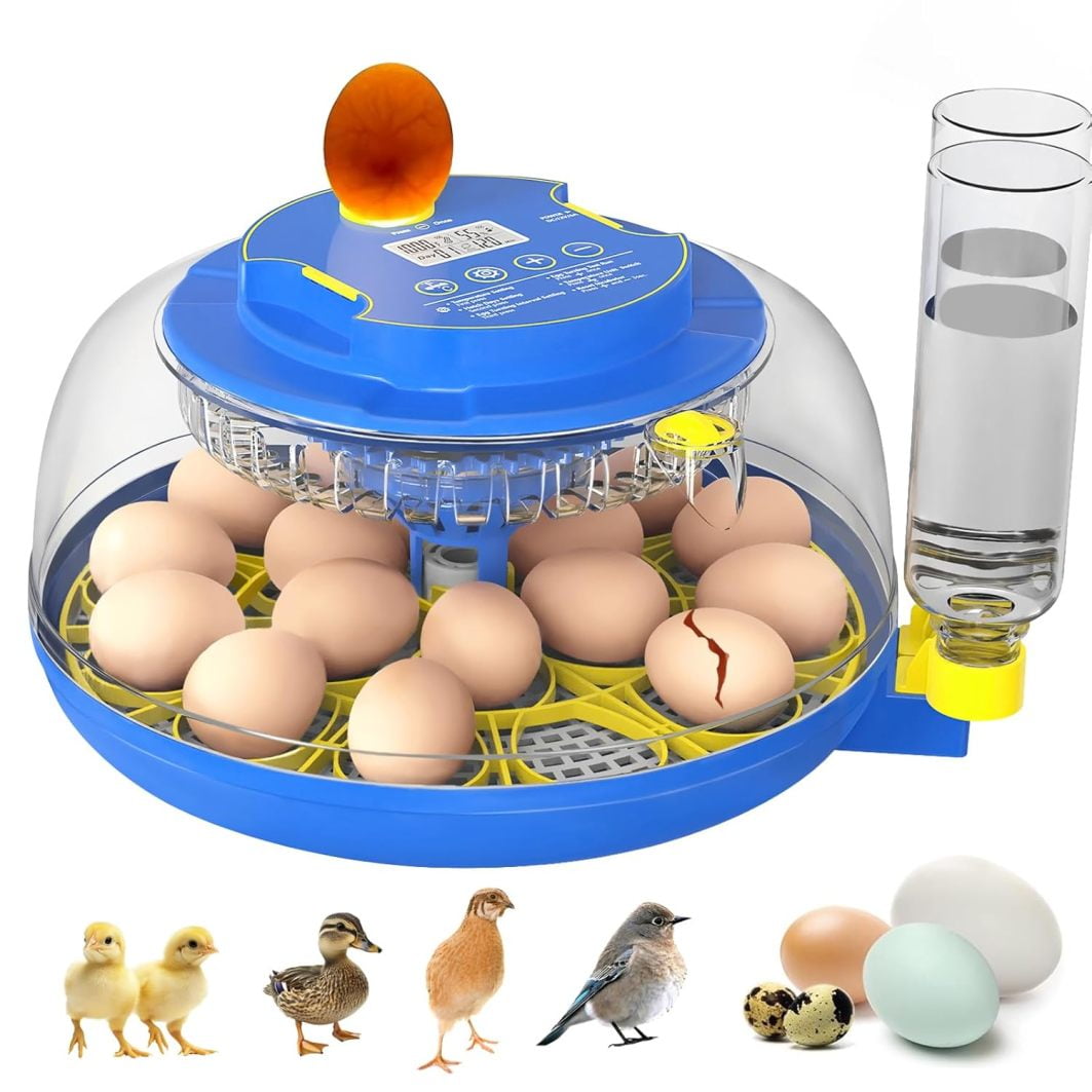 18 Egg Incubator with Automatic Egg Turning & Humidity Control, 360° Viewing, Dual Egg Trays ...