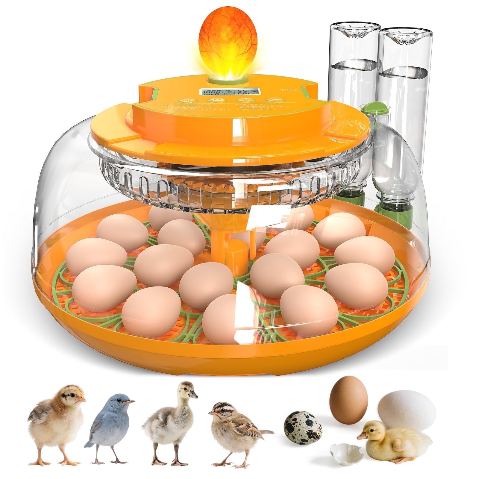 18 Egg Incubator with Automatic Egg Turning and Humidity Control, Egg ...