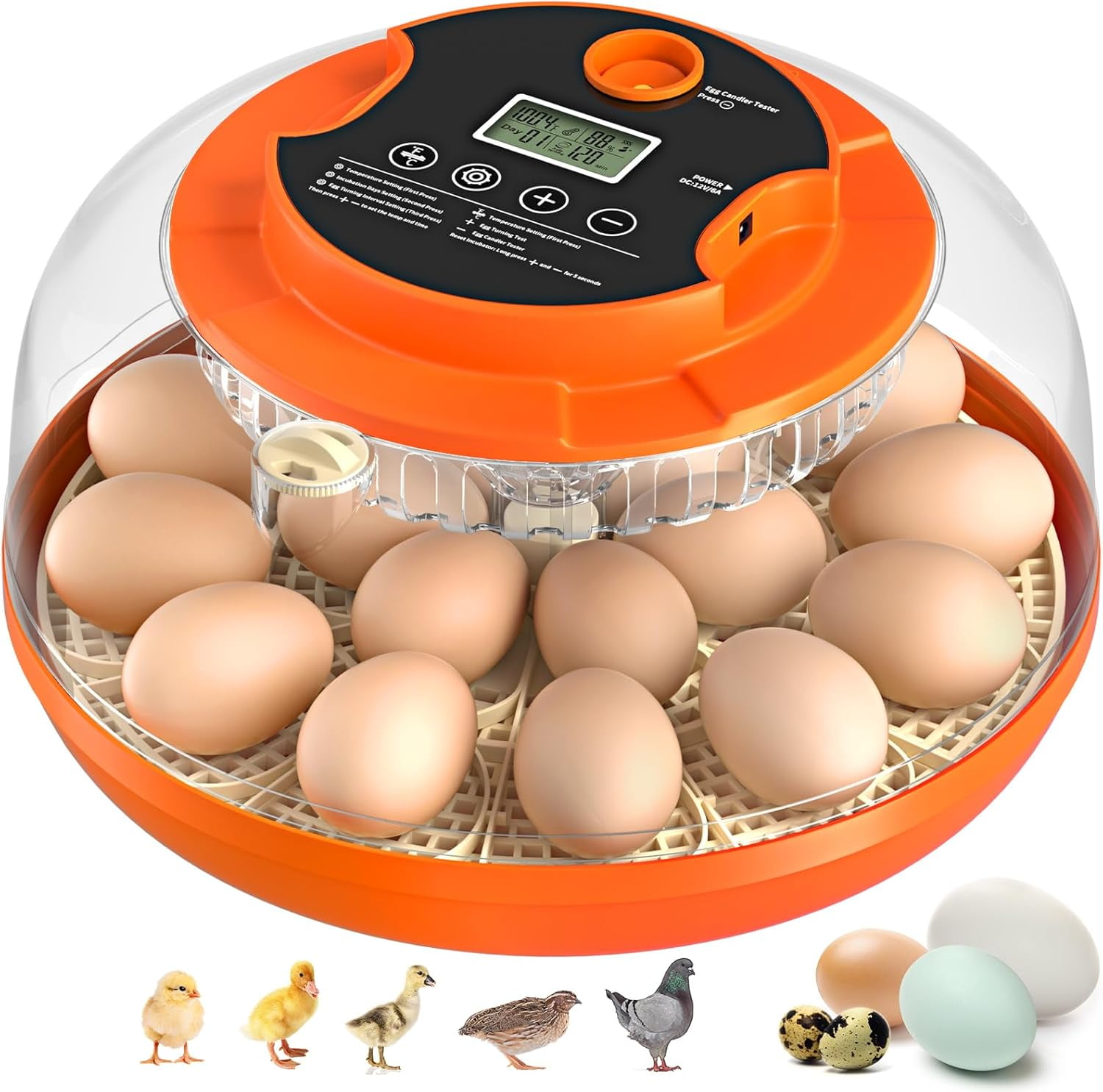 18 Egg Incubator with Automatic Egg Turning and Humidity Control ...