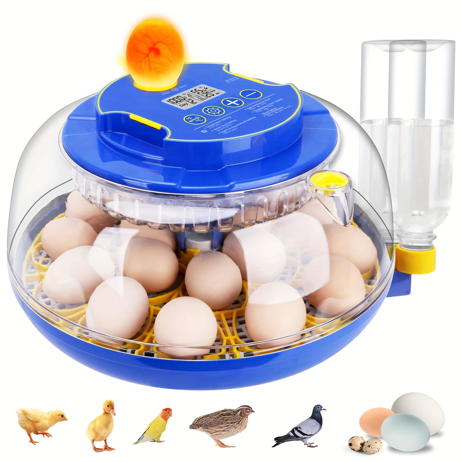 18-Egg Smart Incubator with Automatic Turning, Temperature & Humidity ...