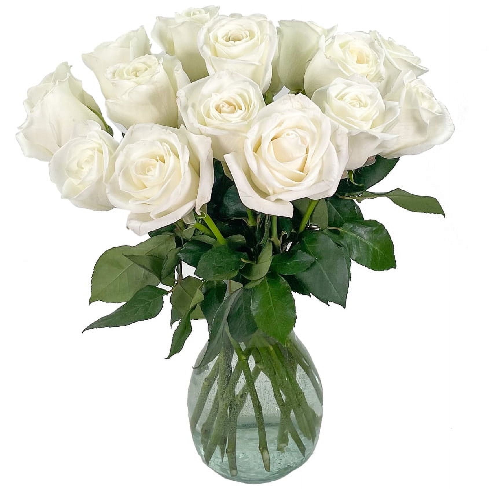 18 Fresh Cut White Roses by Arabella Bouquets with Free Elegant Glass ...