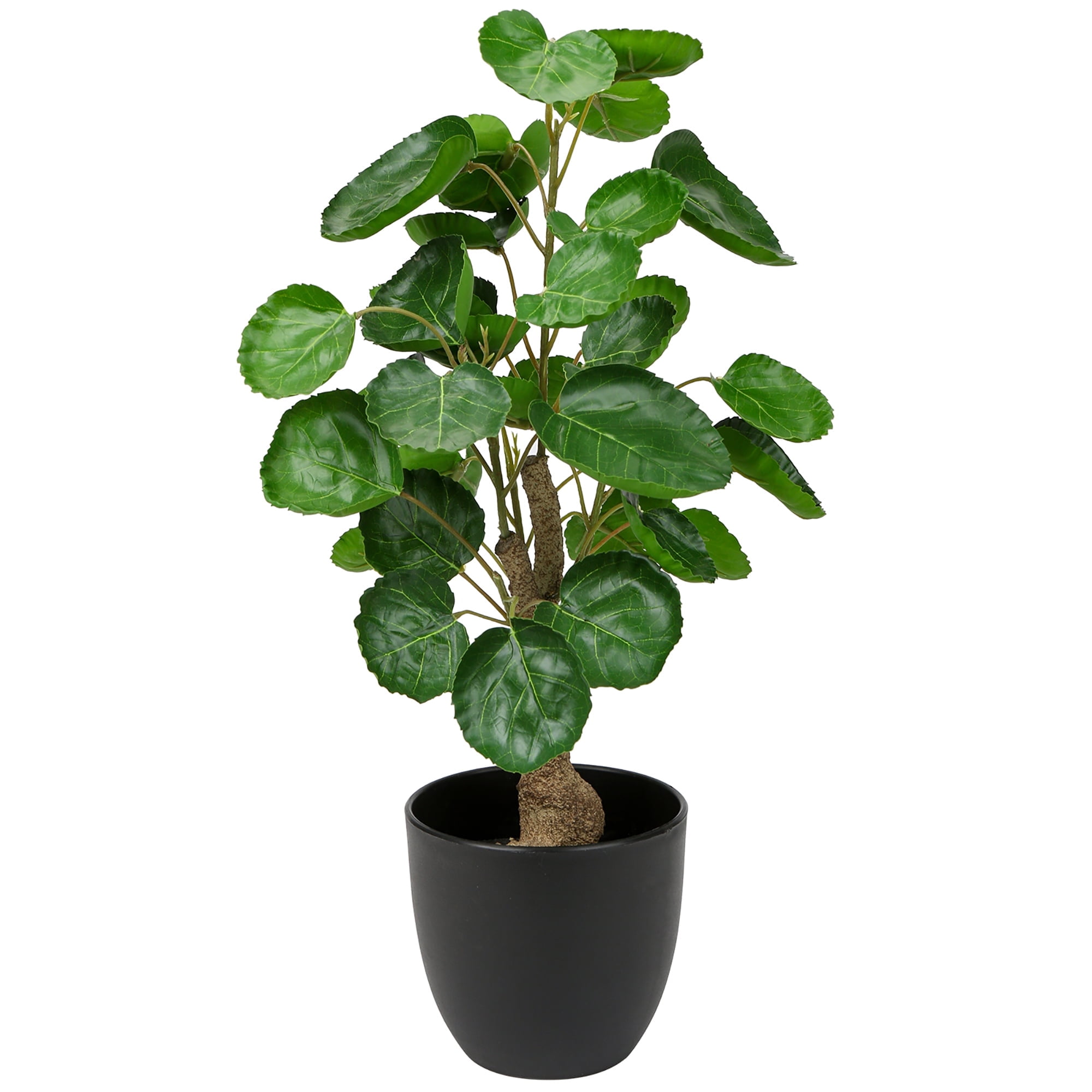 Customer reviews for 18 Inch Fake Money Tree Plant Potted Artificial ...