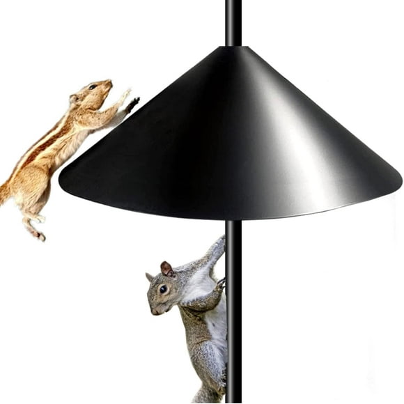 Raccoon Baffle Bird Feeder
