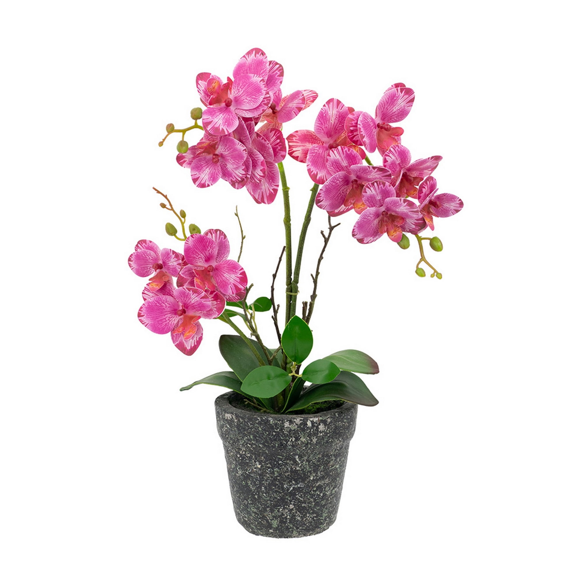 18 Inch Real Touch Pink Vanda Orchids with Distressed Black Cement Pot ...