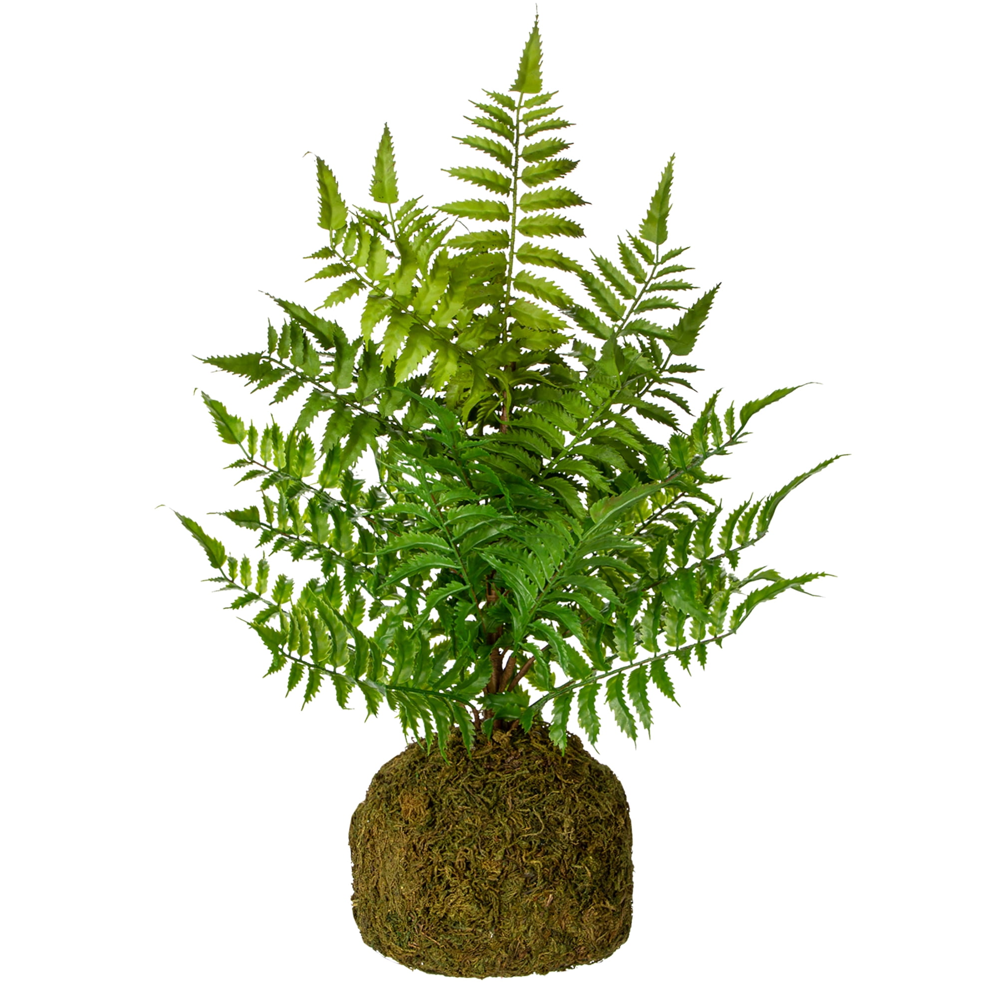 18'' Mixed Boston Fern Artificial Plant with Frond Mossy Mound Bale ...