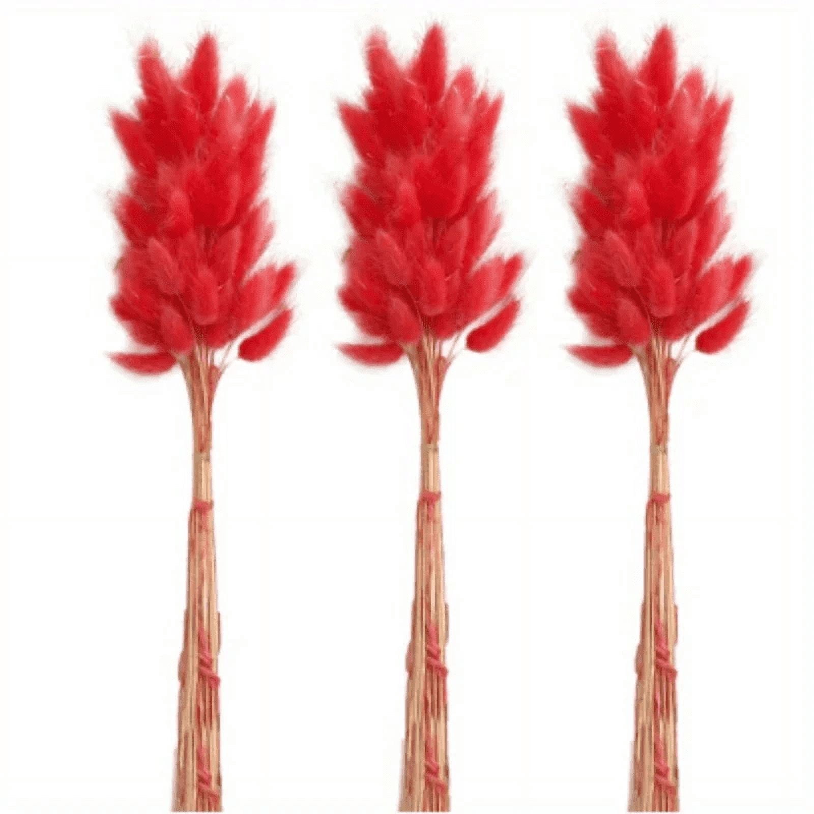 18’’ Bunny Tails Dried Flowers, 100 Pcs Dried Lagurus Ovatus, Dried ...