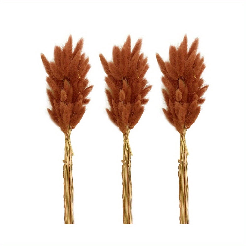 18’’ Natural Bunny Tails Dried Flowers, 100 Pcs Dried Lagurus Ovatus ...
