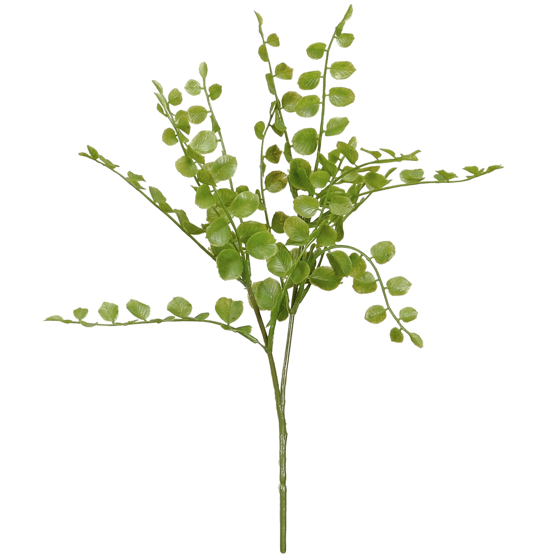 18 Pack: Assorted Fern Pick by Ashland - Walmart.com