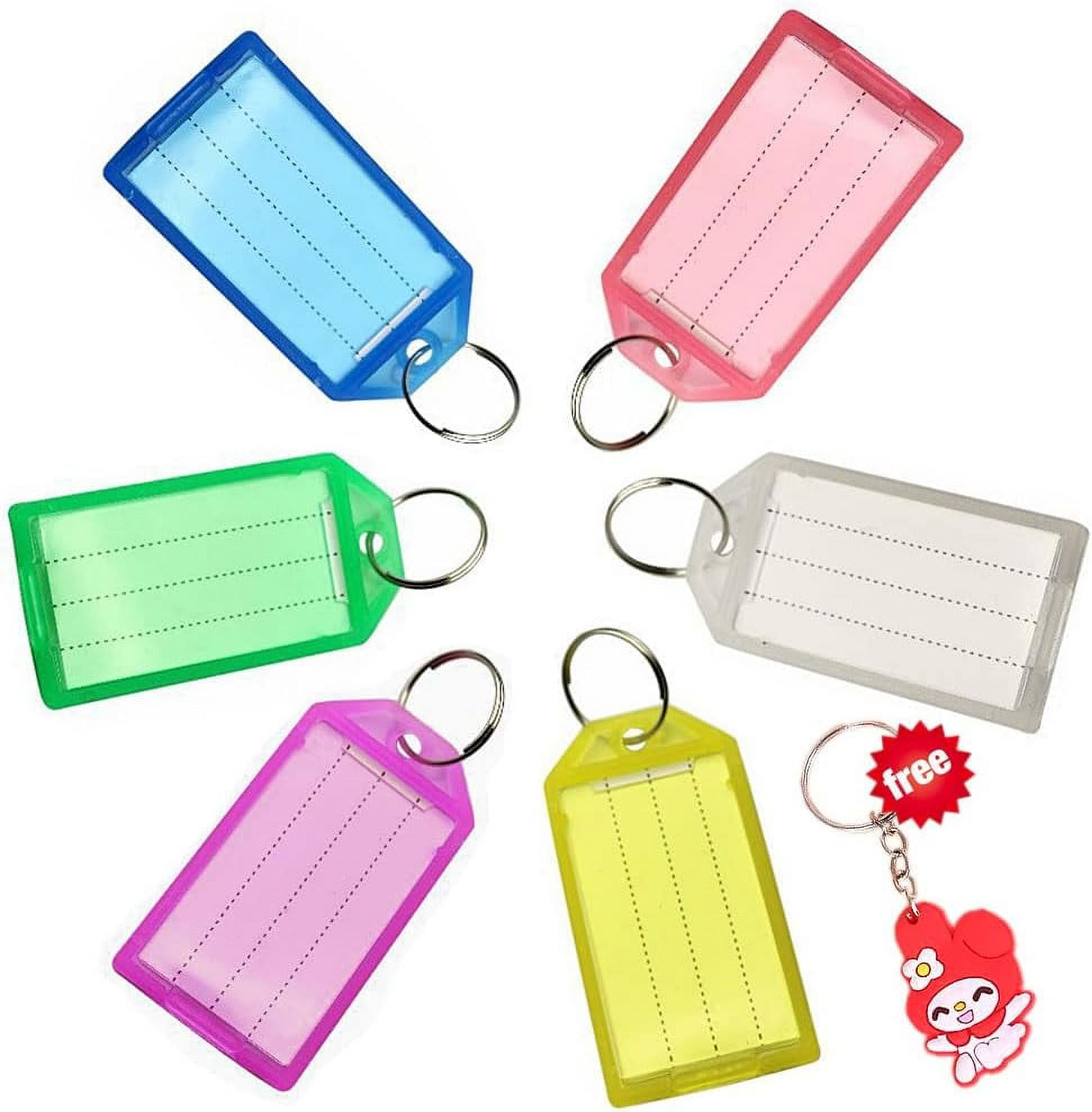 18 Pcs Plastic Key Tags with Labels, Key Fobs Labels with Split Ring ...
