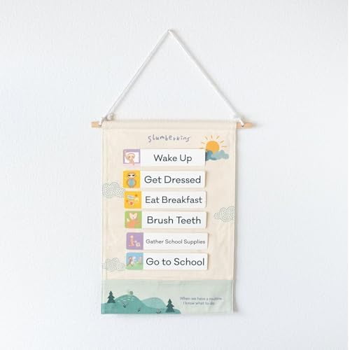 18 Piece Visual Schedule for Kids | Reversible Visual Tool to Teach Day ...