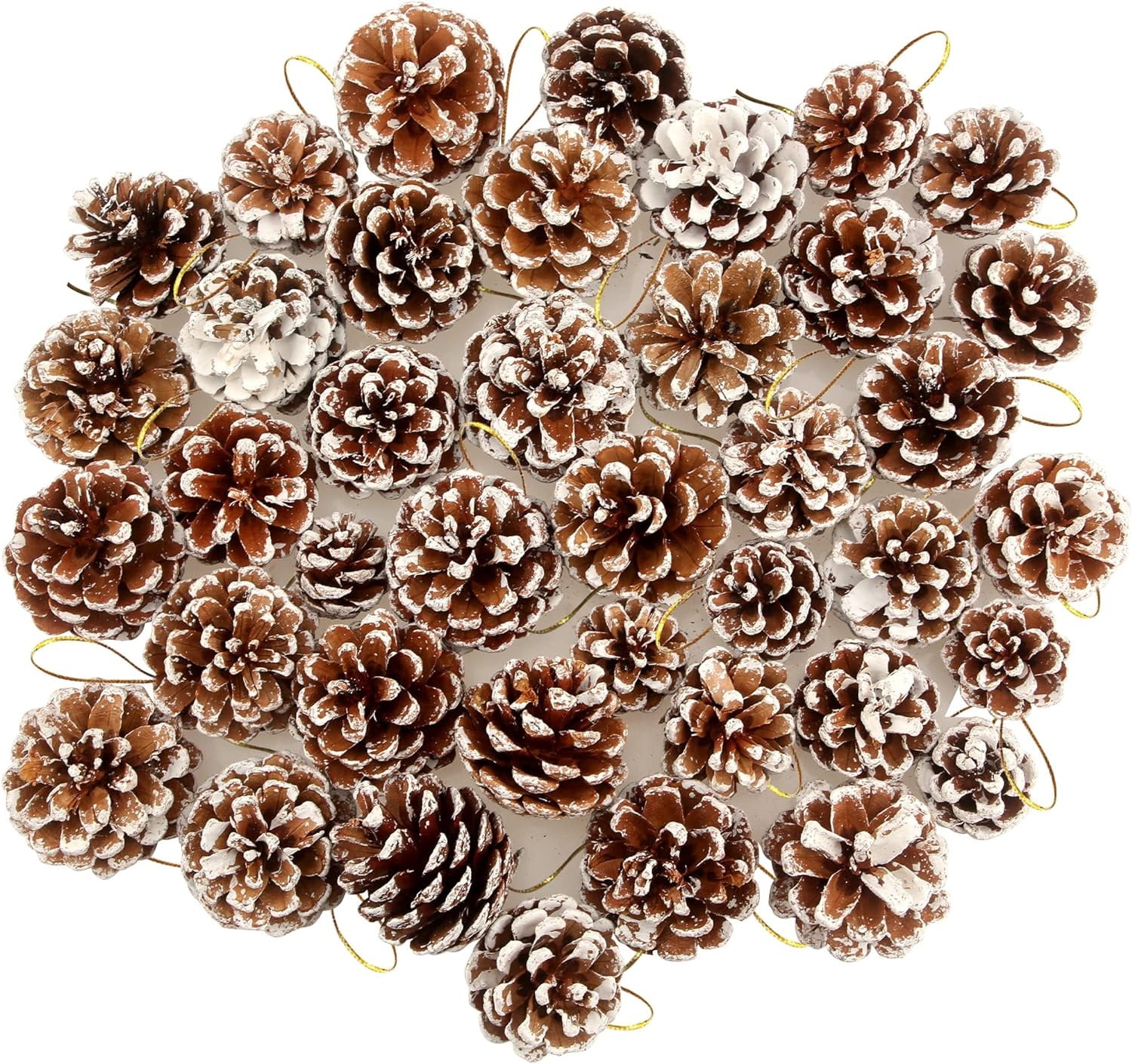 18 Pieces Christmas Pine Cones,Happon Mini Pine Cones for Craft DIY ...