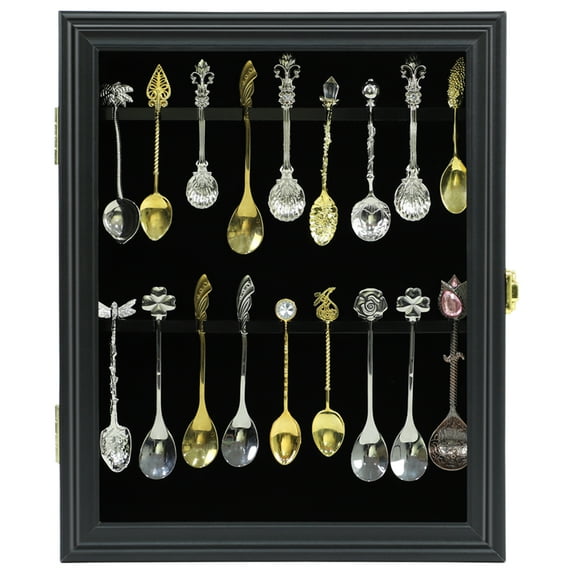 18 Souvenir Tea Spoon Display Case Wall mount Lockable UV Protection ...