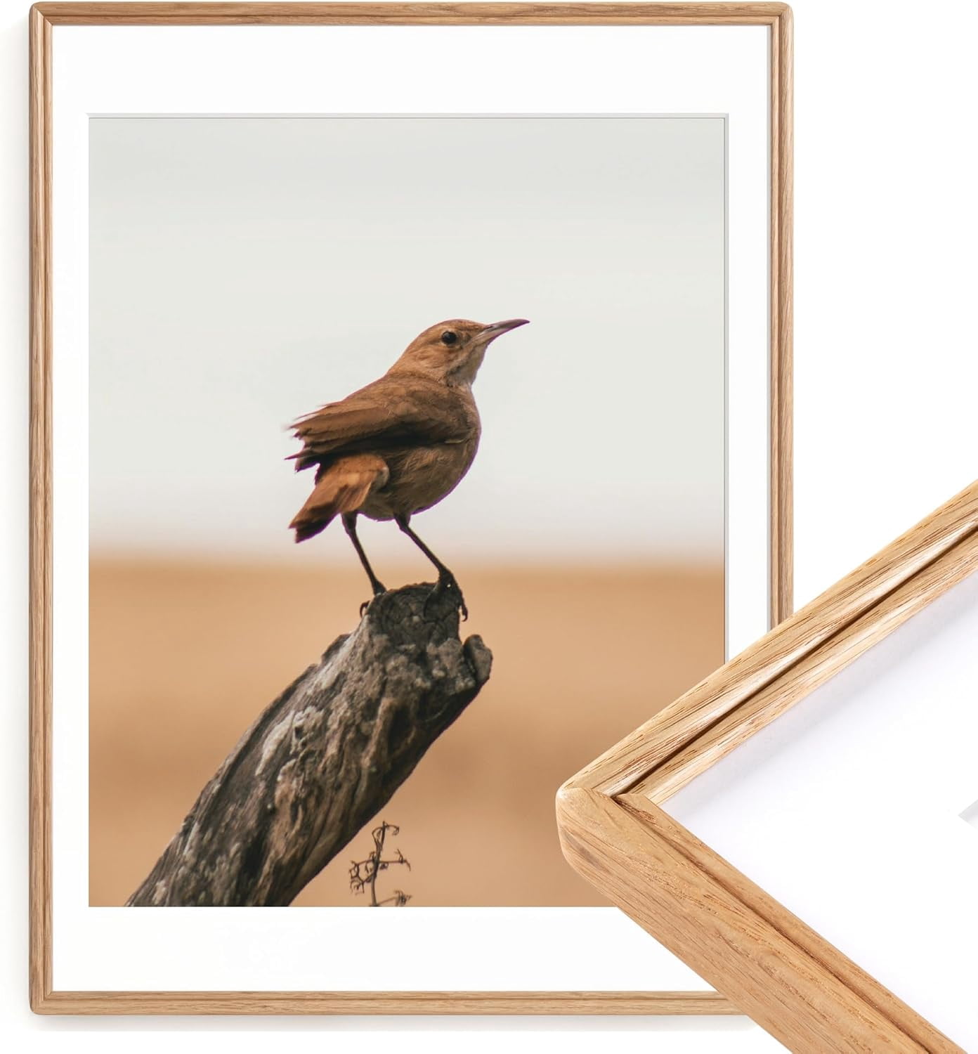 18 X 24 Poster Frame, Natural Solid Oak Wood Picture Frame with High ...