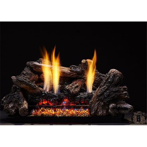 18 in. 29000 BTU IntelliFire Plus Glow Getter Burner Propane Gas with ...