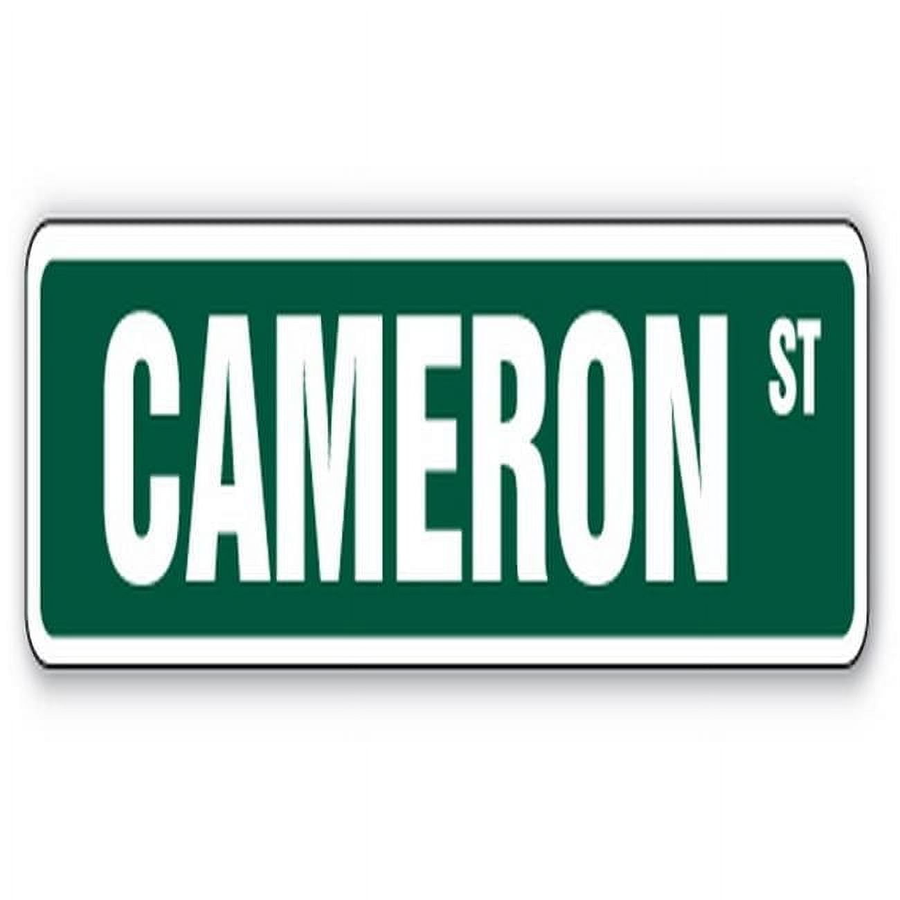 18 in. Cameron Street Childrens Name Room Sign - Walmart.com