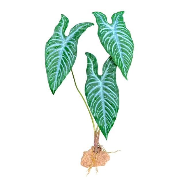 Vein Plant
