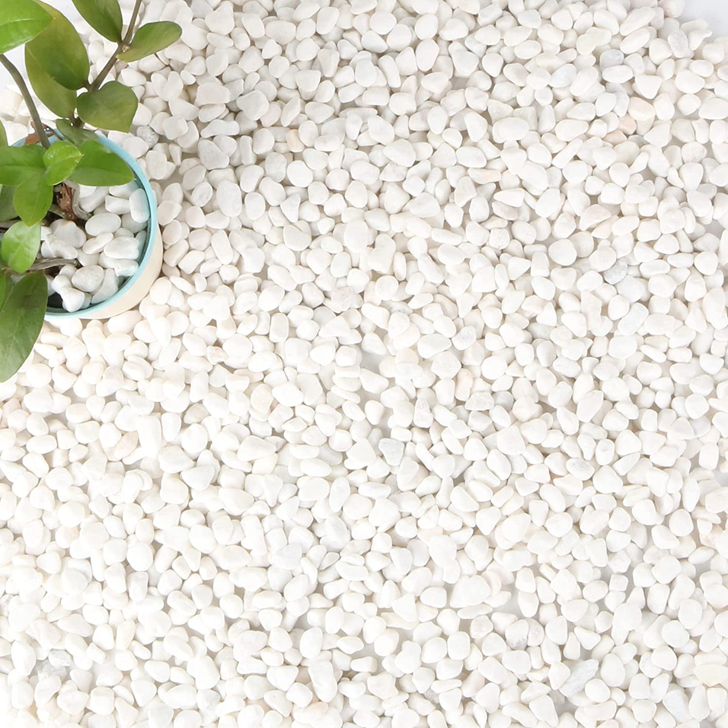 18-lb Bulk Bag White Pebbles 1/2" Size Aquarium Gravel Outdoor Garden ...