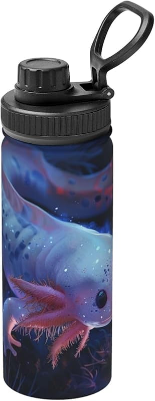 18 oz Water Bottle Sports Stainless Steel Sports Insulated Water Bottle ...