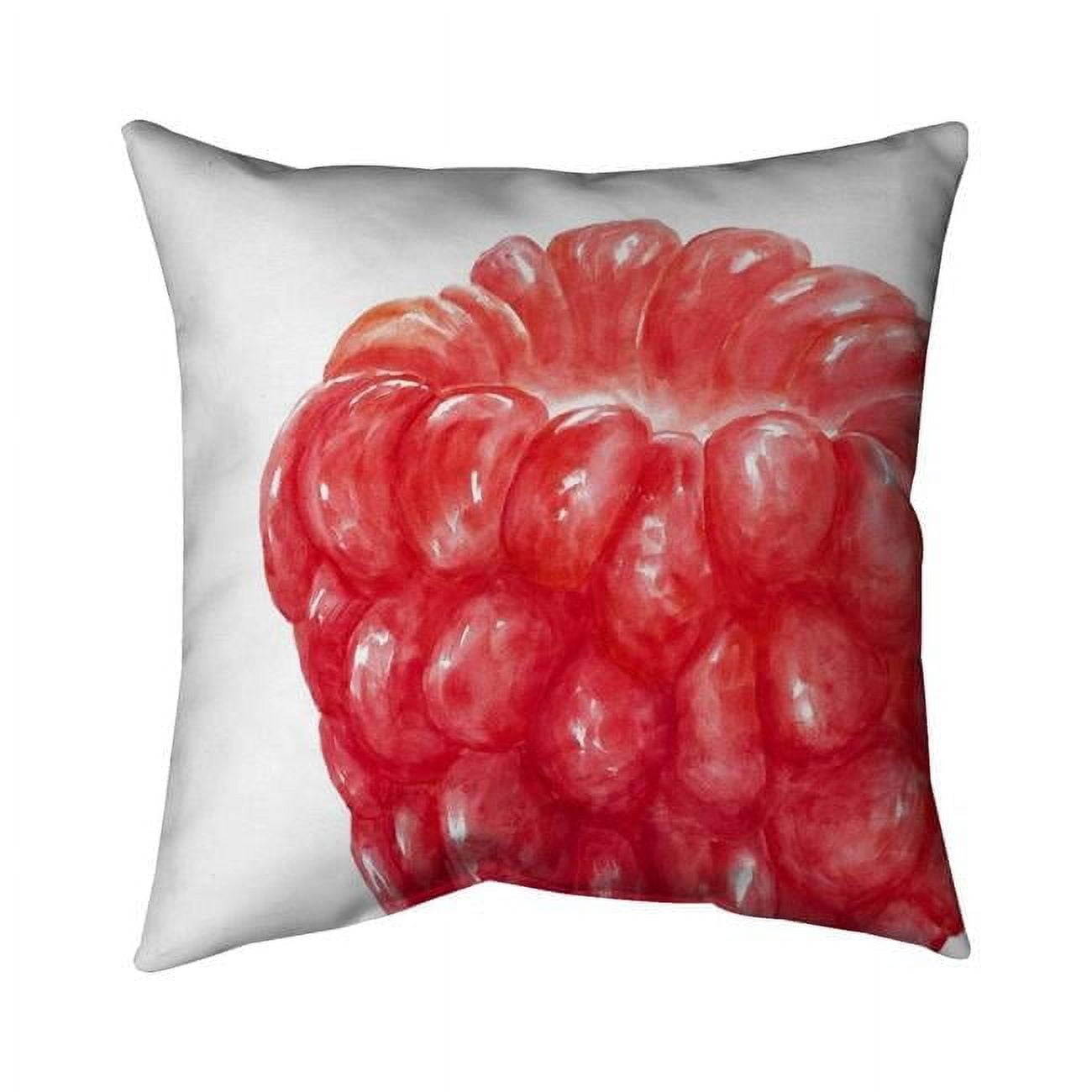 Raspberry Cushions