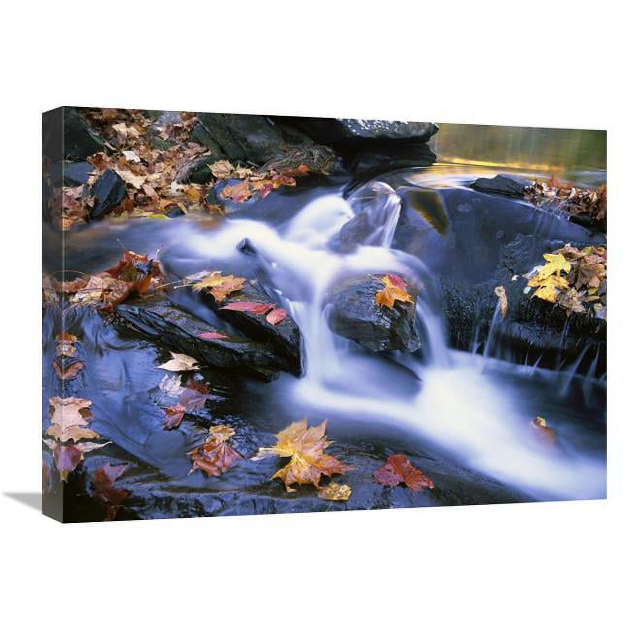 18 x 24 in. Autumn Leaves in Little River, Great Smoky Mountains NP ...