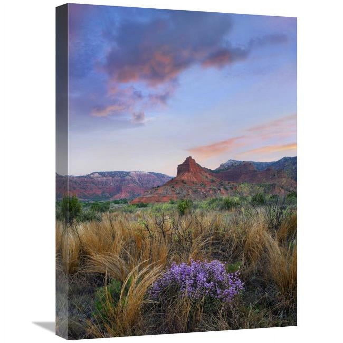 18 x 24 in. Caprock Canyons State Park, Texas Art Print - Tim ...