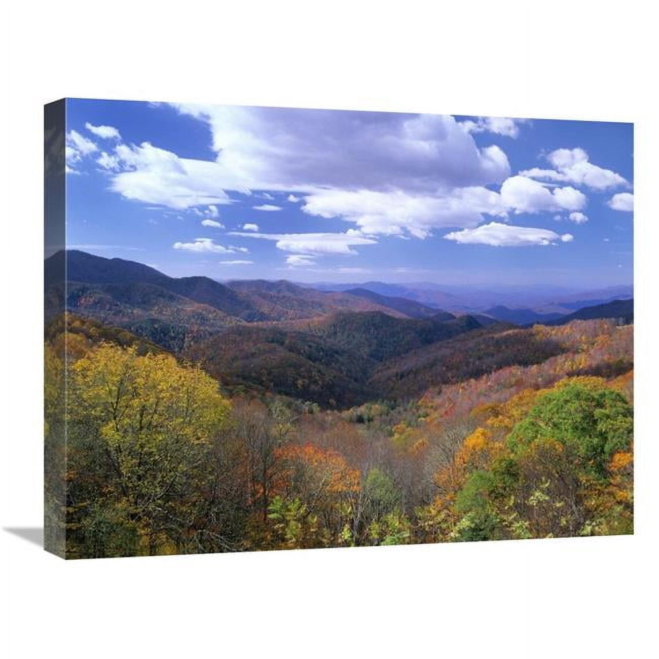 18 x 24 in. Deciduous Forest in the Autumn From Thunderstruck Ridge ...
