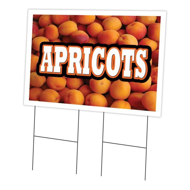 18 x 24 in. Doctors Nurses & All Essential Workers We Salute You Yard ...