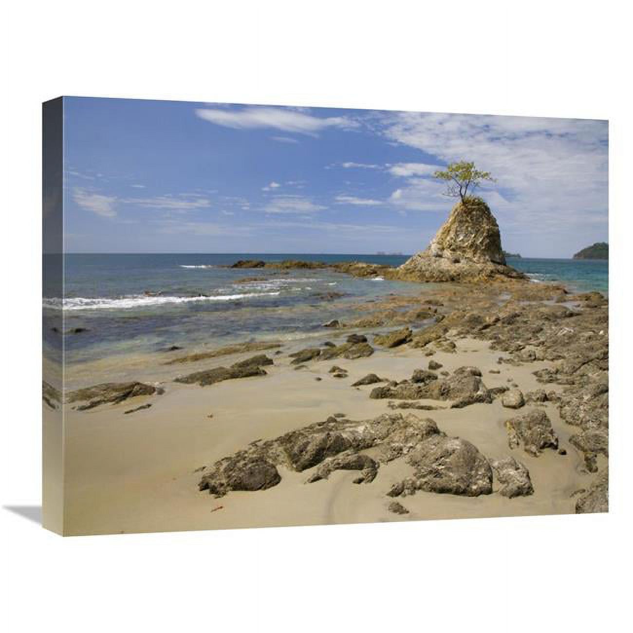 18 x 24 in. Point with Tree on Penca Beach, Costa Rica Art Print - Tim ...