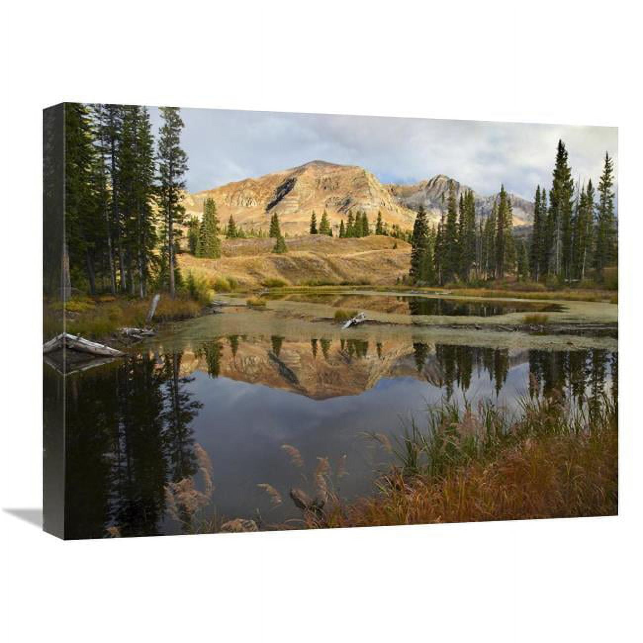 18 x 24 in. Ruby Range Reflected in Pond, Raggeds Wilderness, Colorado ...