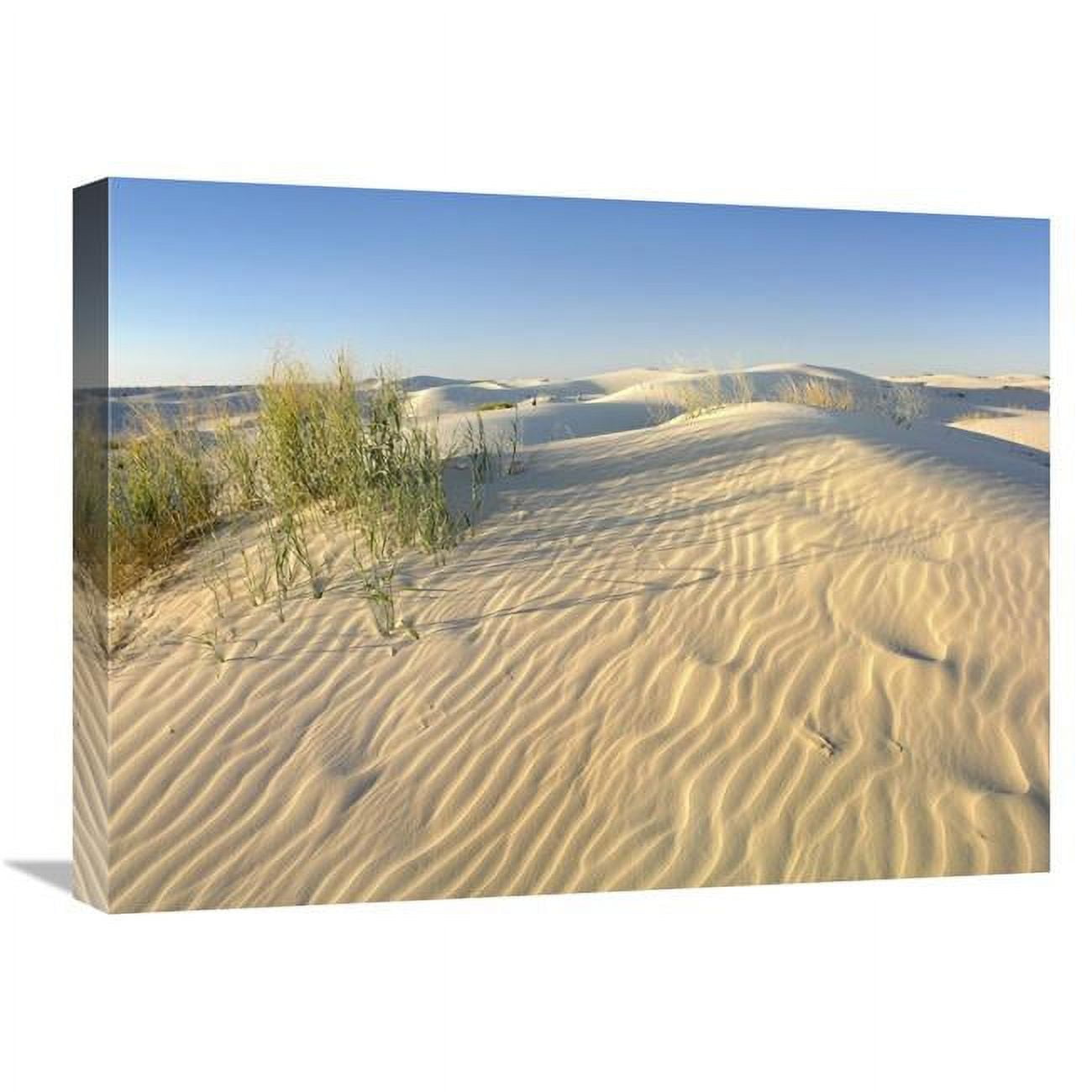 18 x 24 in. Sand Dunes, Monahans Sandhills State Park, Texas Art Print ...