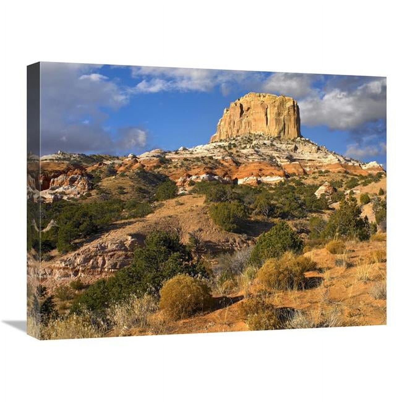 18 x 24 in. Square Butte Near Kaibito, Arizona Art Print - Tim ...