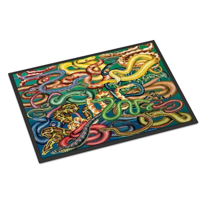 18 x 27 in. Snakes Indoor or Outdoor Mat - Walmart.com