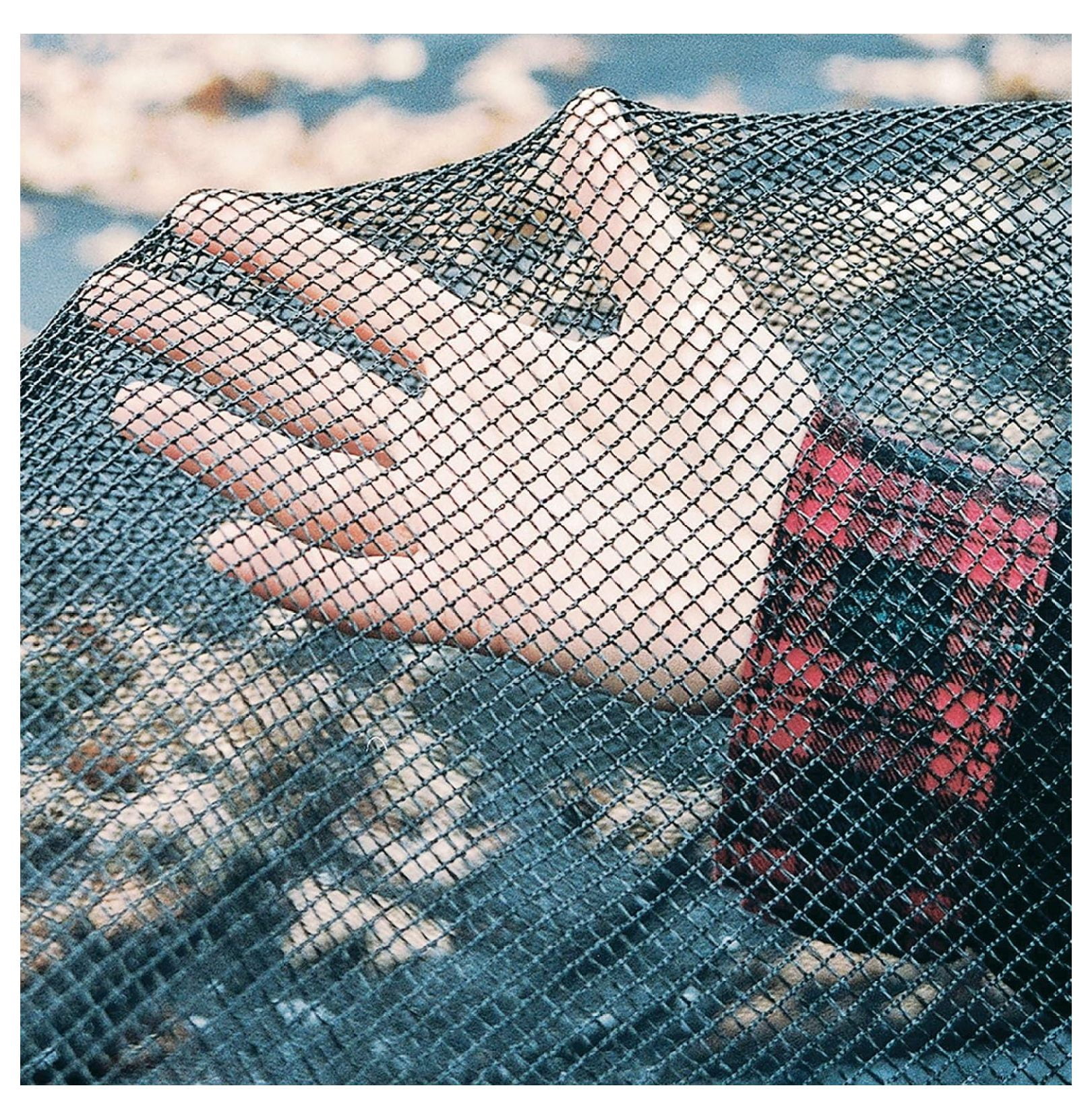 18' x 36' Rectangle Leaf Net Cover for Inground Swimming Pools ...