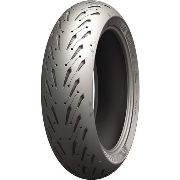Michelin Road 5 Radial Rear Tire, 180/55ZR-17, Superior Wet Grip ...