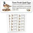 180 Pcs Quail Farm Fresh Eggs Sticker 1x2.6inch(2.5x6.7cm) Unwashed Egg ...