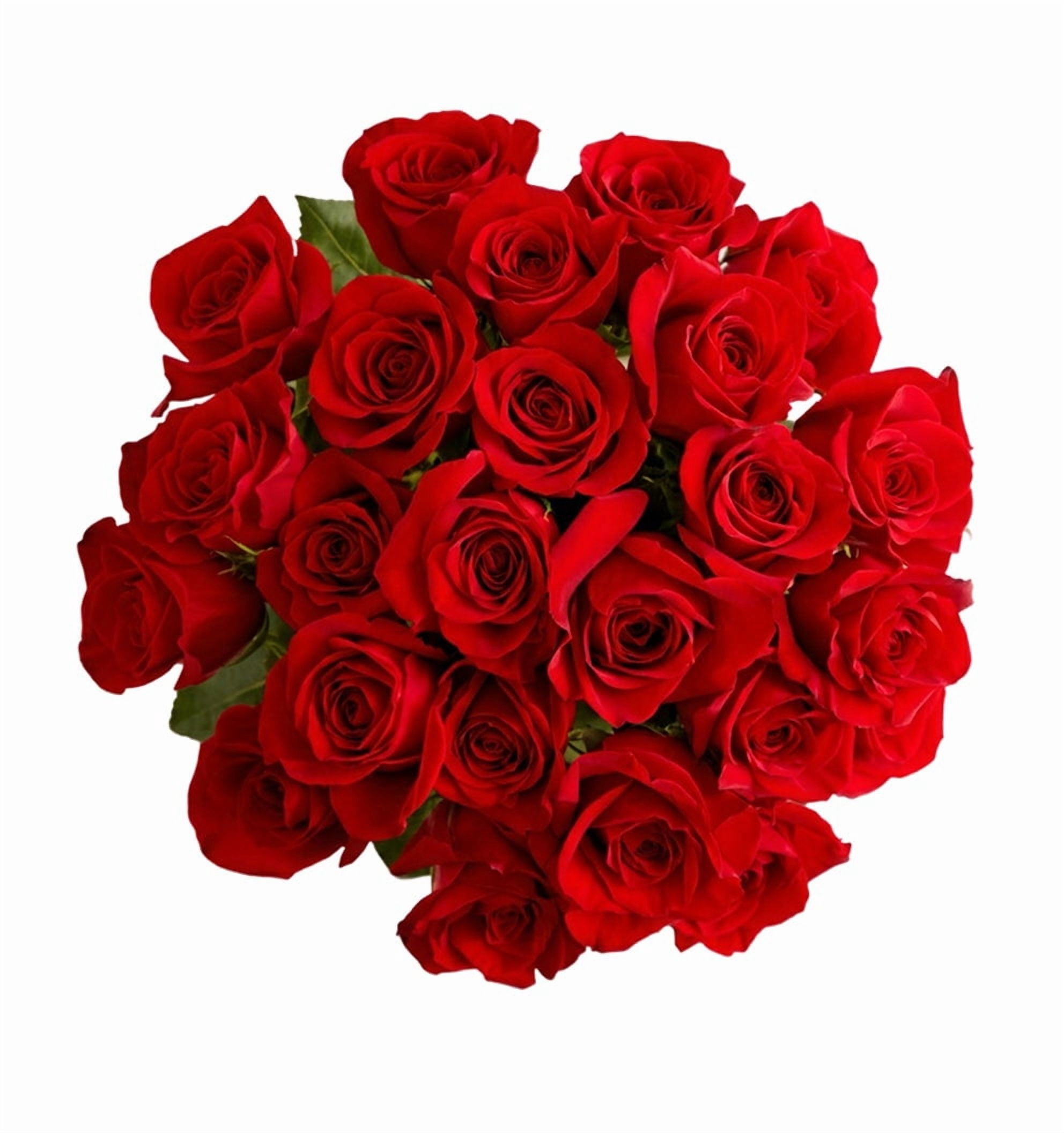 1800 Flowers - 36 Stem Red Roses (Bouquet Only) - Bulk Fresh Flowers ...