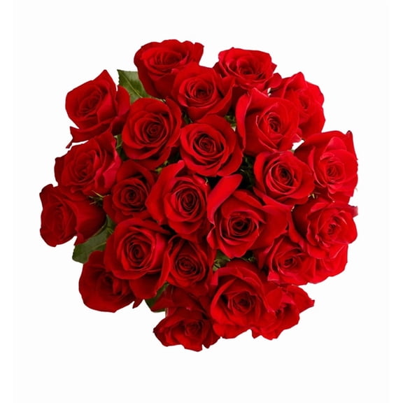 Real Rose Bouquet: 24 Freshly Bunched Orange Roses - Express Delivery ...