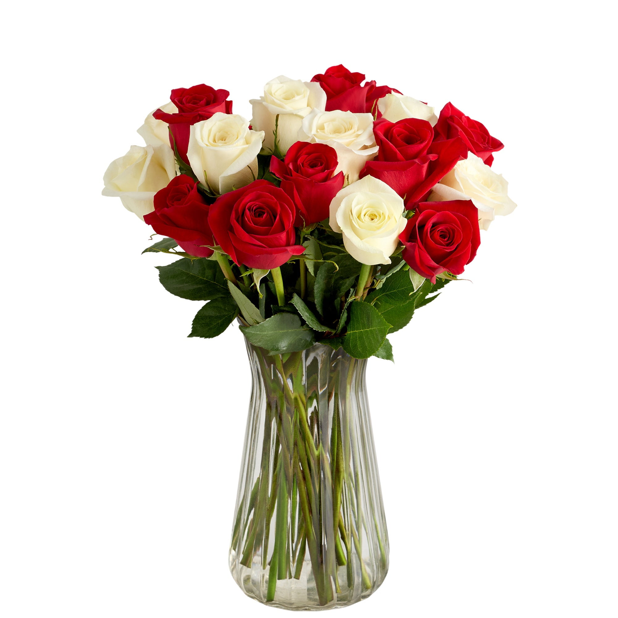 1800 Flowers - Peppermint Rose Bouquet: 18 Red & White Roses in Clear ...