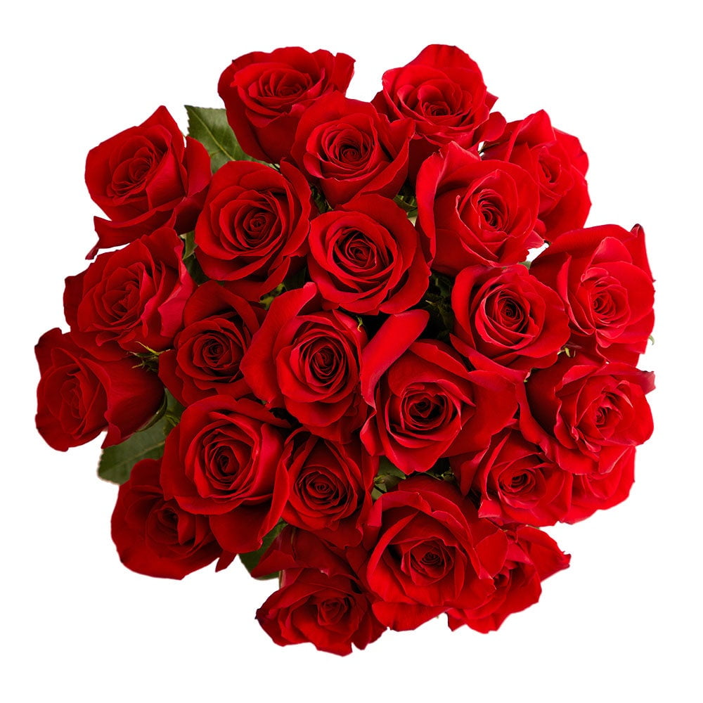 1800 Flowers - Rose Bouquet Only: 24 Red Roses, Decorative - Walmart.com