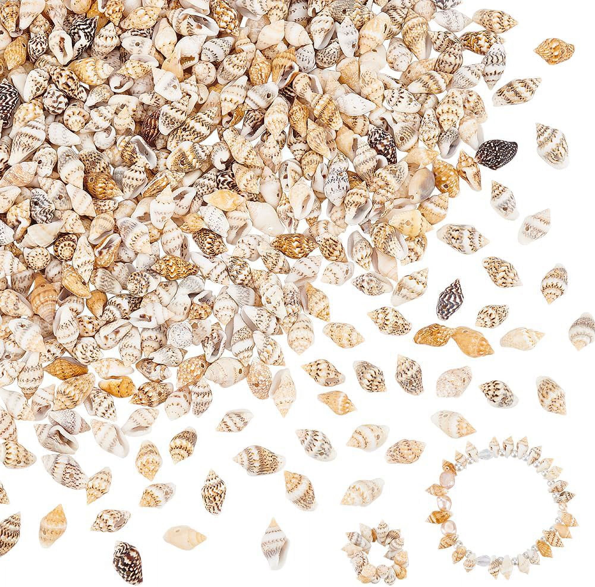 180G Natural Sea Shell Beads Shell Shape 10~15x6~9mm Hole: 1.2mm ...