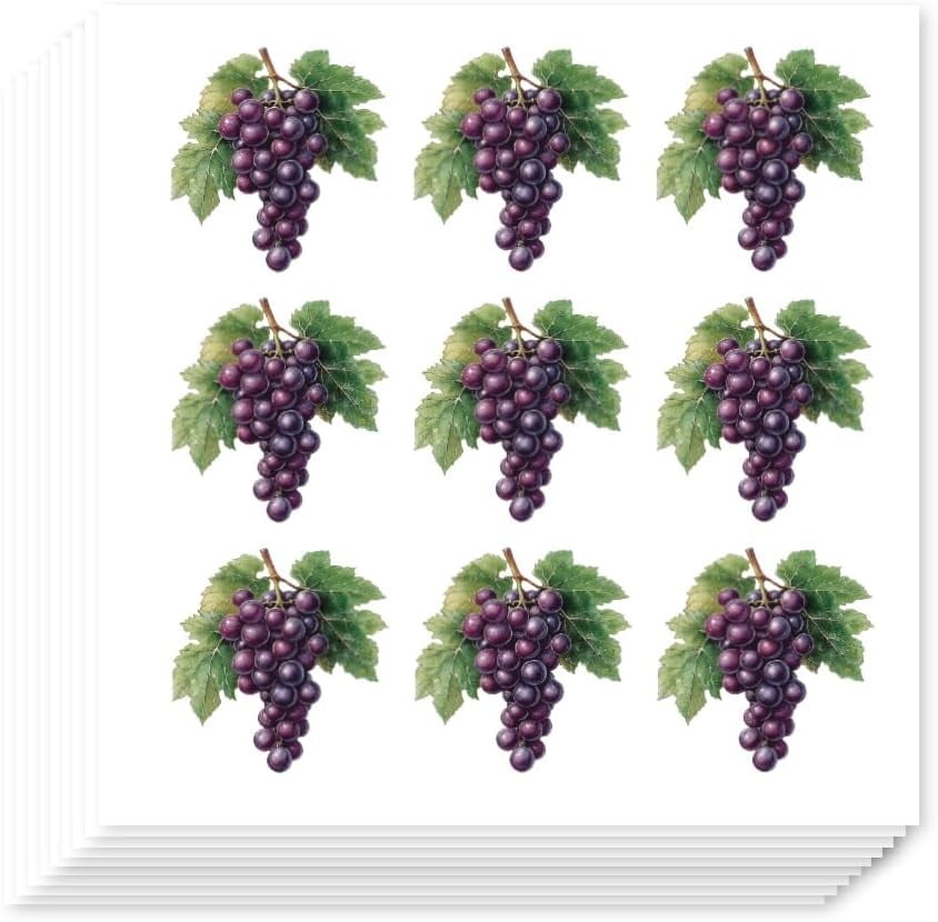 180Pcs Grapes Fruit Stickers Cute Grapes Paper Decals Self-Adhesive ...