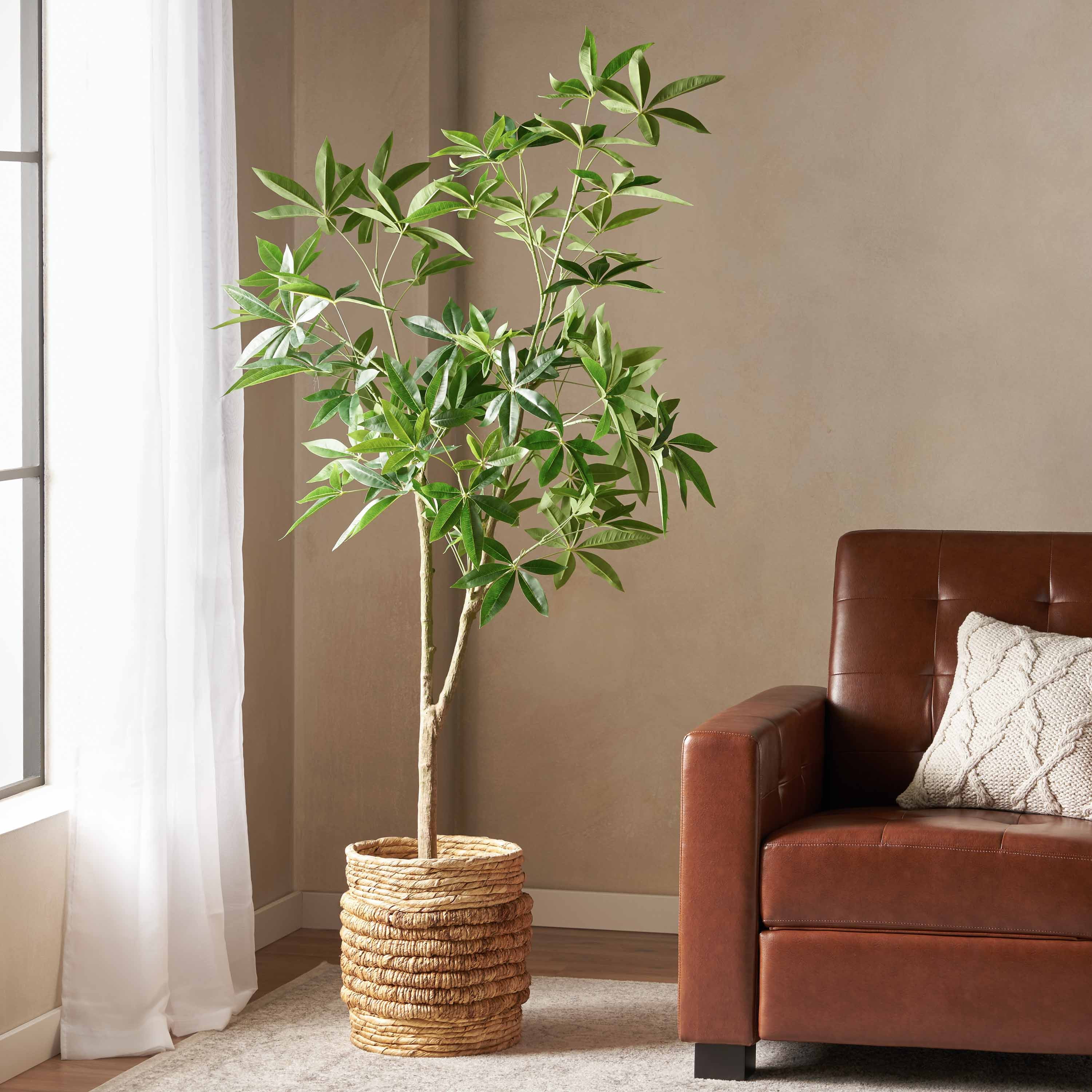 180cm Artificial Money Tree Pachira Macracarpa by [Brand Name] - Pre ...
