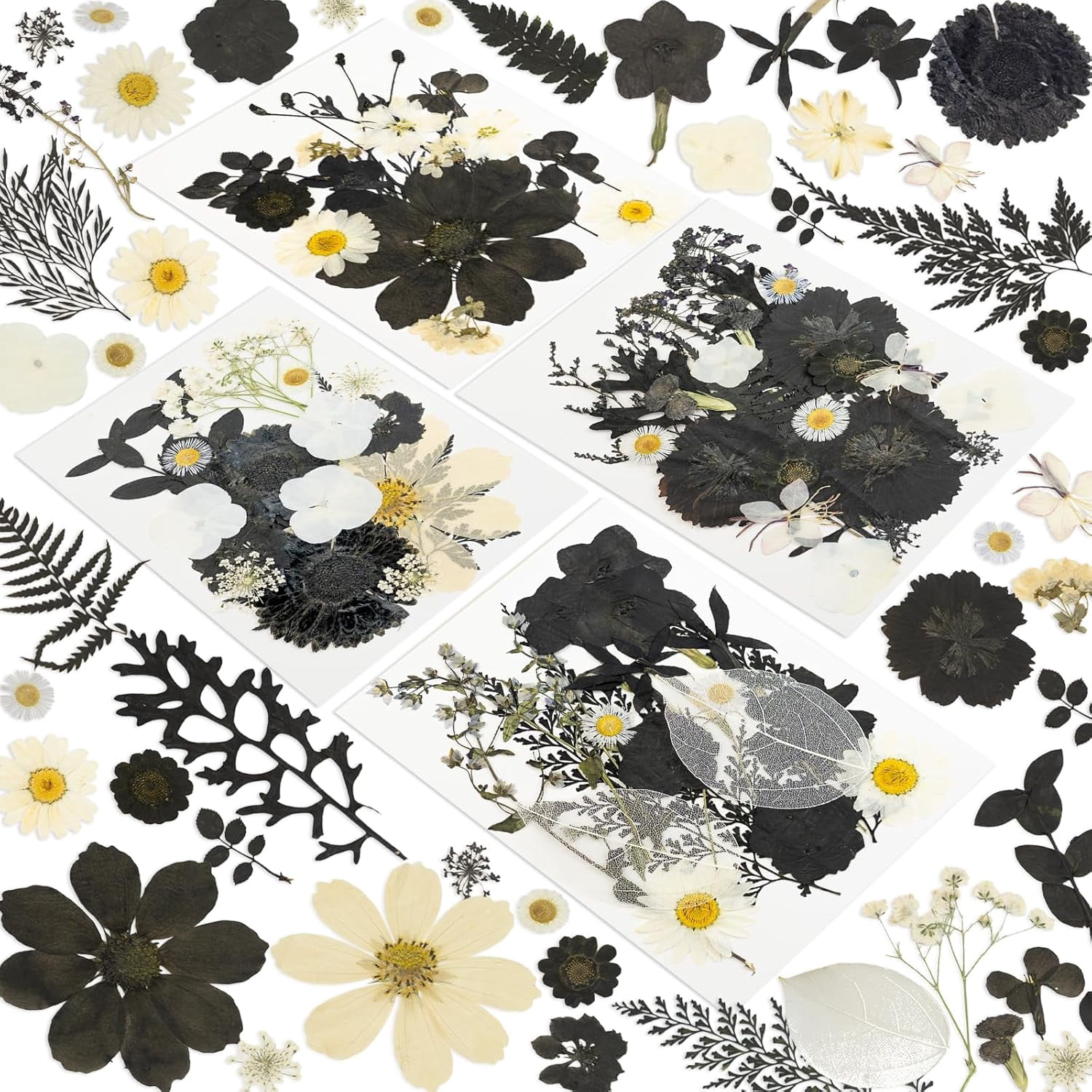 185 Pcs Natural Pressed Flowers & Leaves Kit with Butterfly Stickers ...