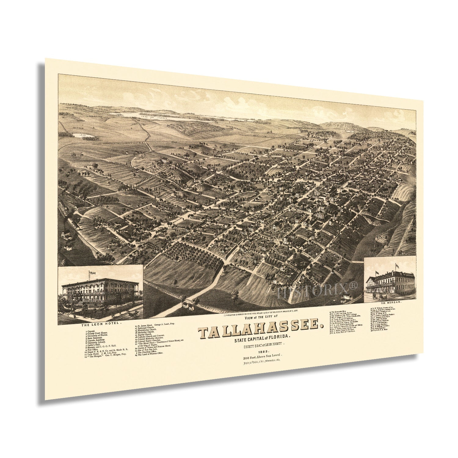 1885 Tallahassee Florida Map Poster - Vintage Map of Tallahassee Poster ...