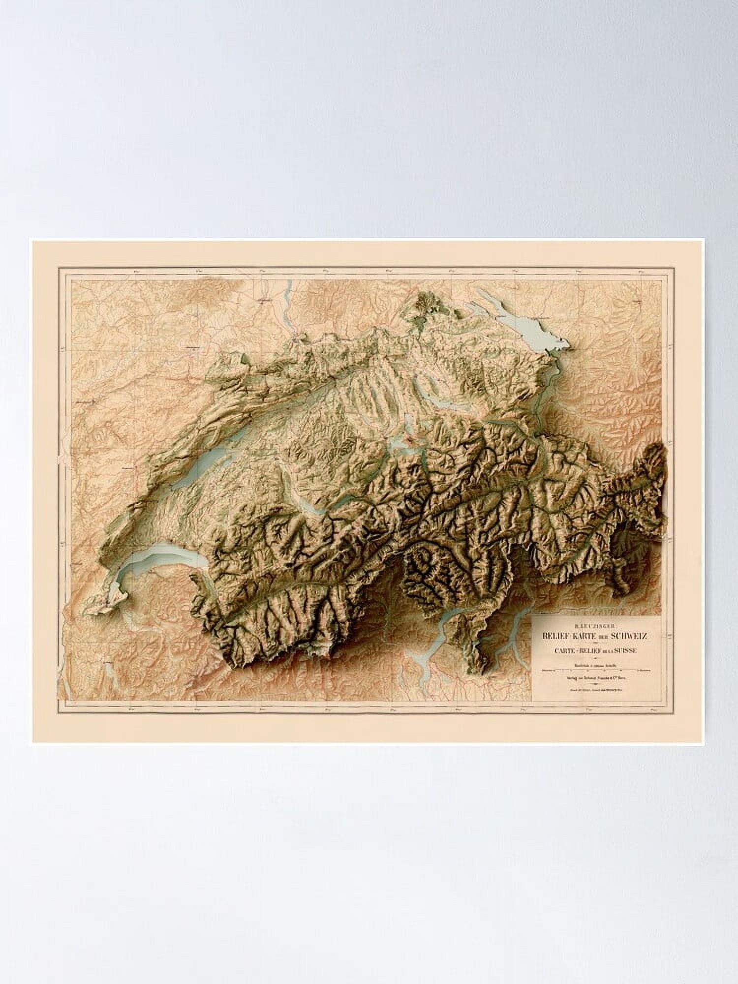 1892 Switzerland Relief Map 3D digitally-rendered Poster - Walmart.com