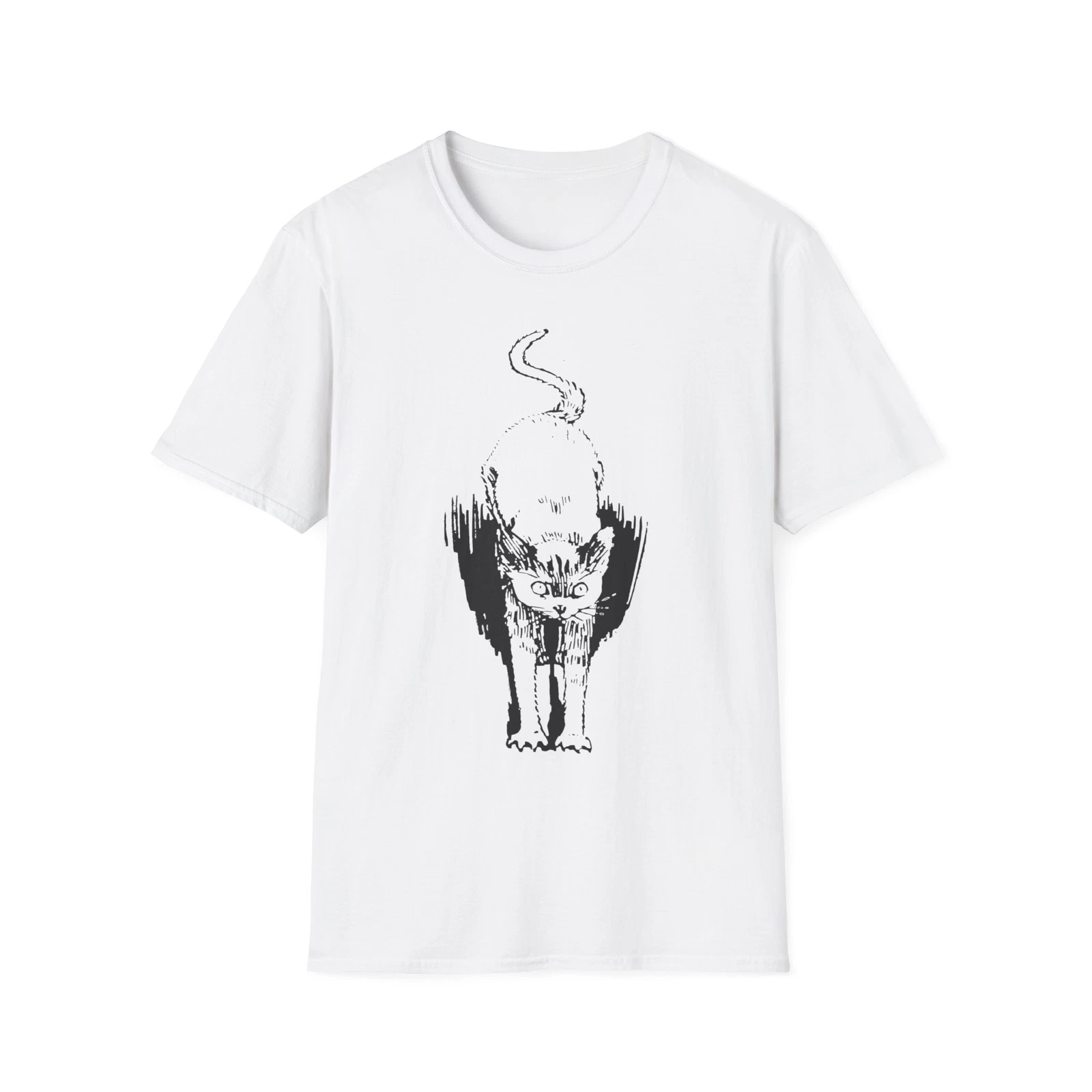 1896 spooked cat from "songs for little people" illustration by h ...