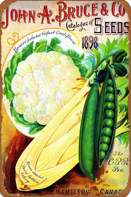 1898 Bruce's Cauliflower Vegetables Seed Packet Catalogue Advertisement ...