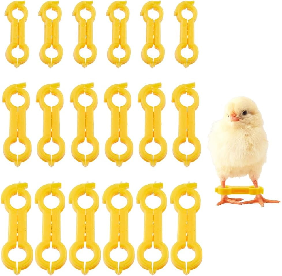 18Pcs 3 Styles Young Chick Splay Leg Hobble Brace Young Chicken Parrot ...