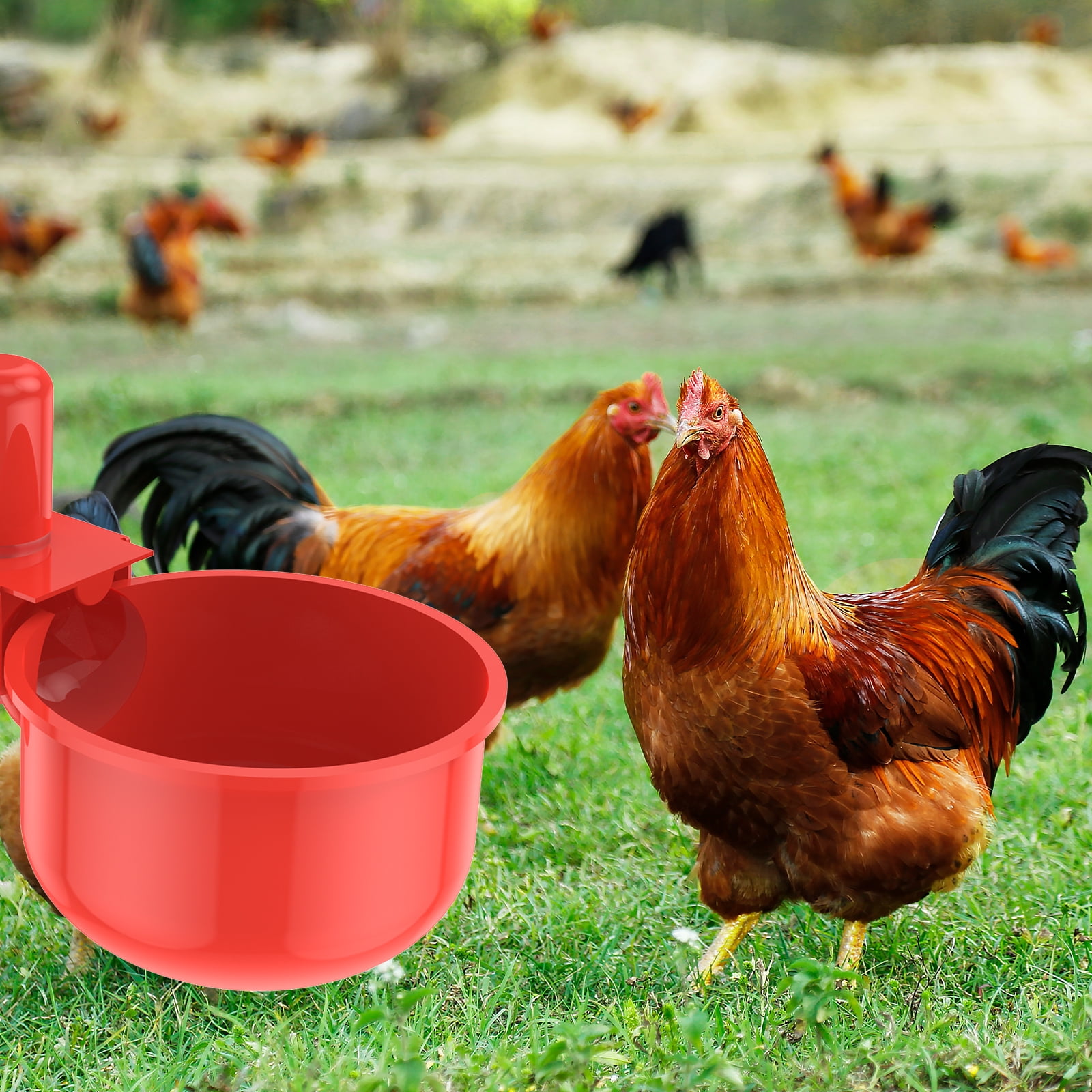 18Pcs Chicken Waterer Cup Automatic Chicken Water Feeder with 3-Way ...